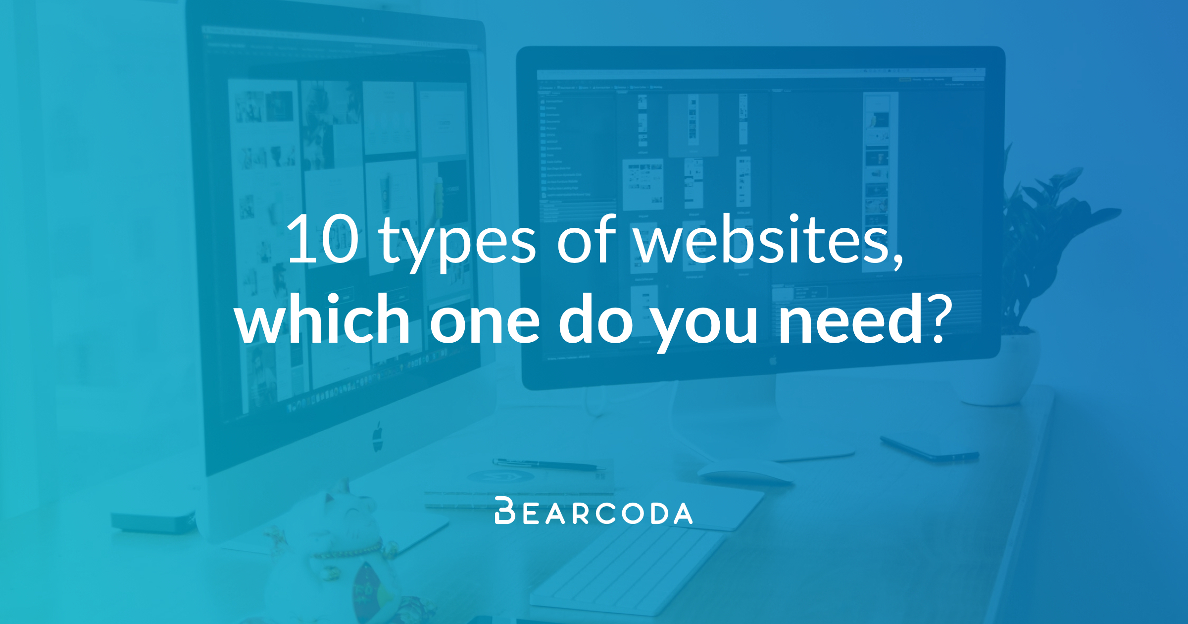 10 Types of Websites, which one do you need? | Bearcoda